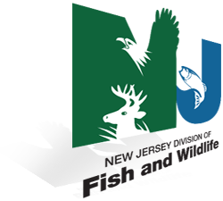 Official New Jersey Hunter Safety Course | HUNTERcourse.com